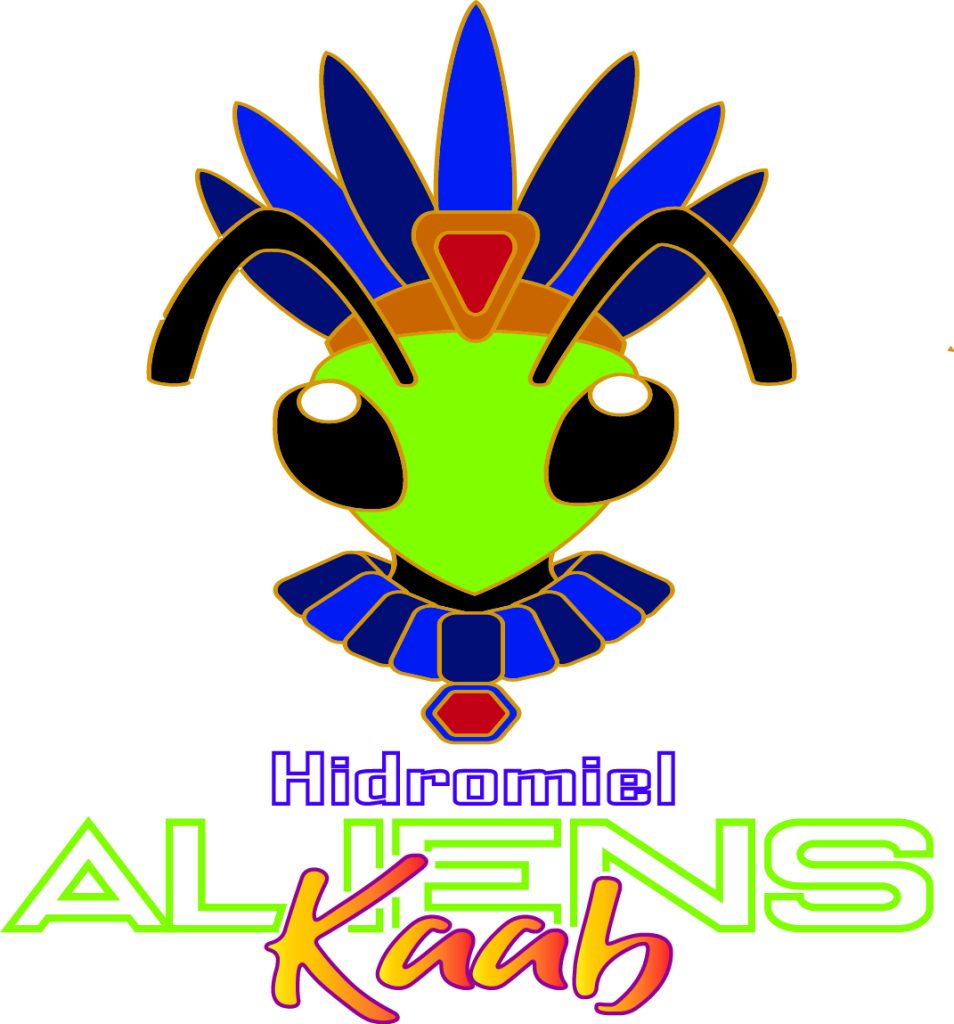 HIDROMIEL ARTESANAL INSPIRADA EN LA CULTURA MAYA ALIENS KAAB ...